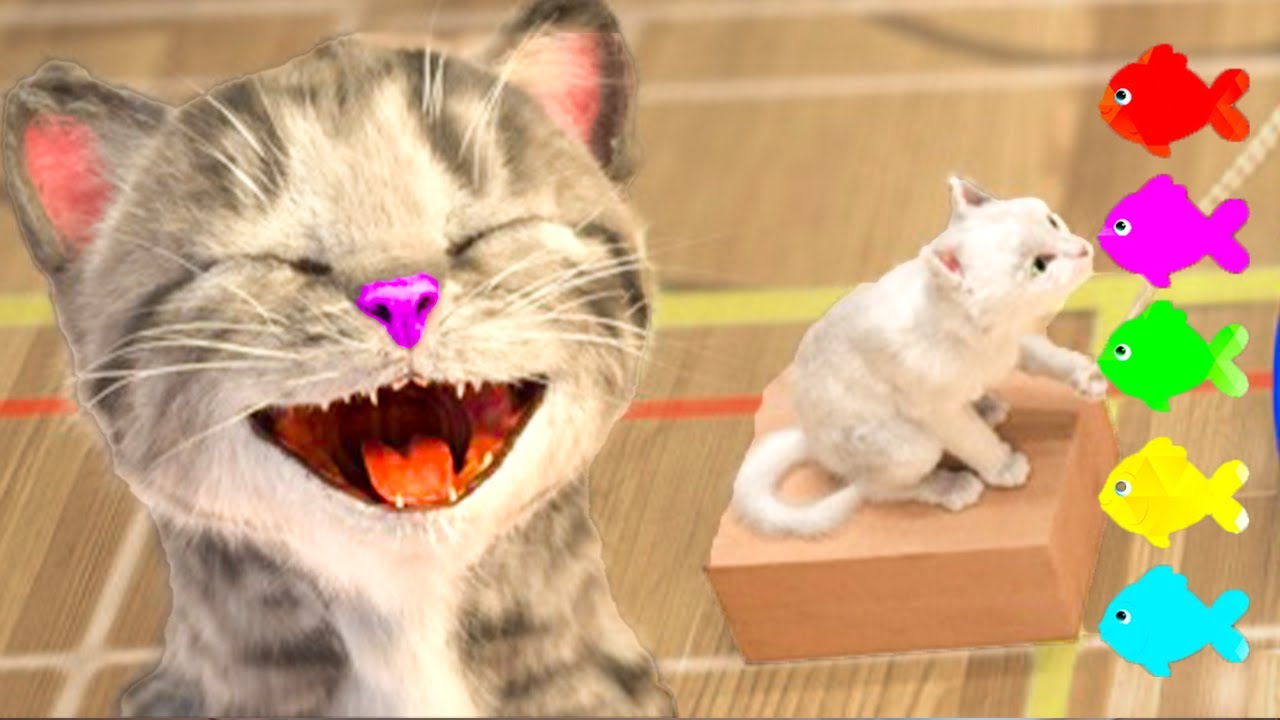 MY BEST FRIEND LITTLE KITTEN ADVENTURE - CUTE CATS ON THE ROAD WITH ...