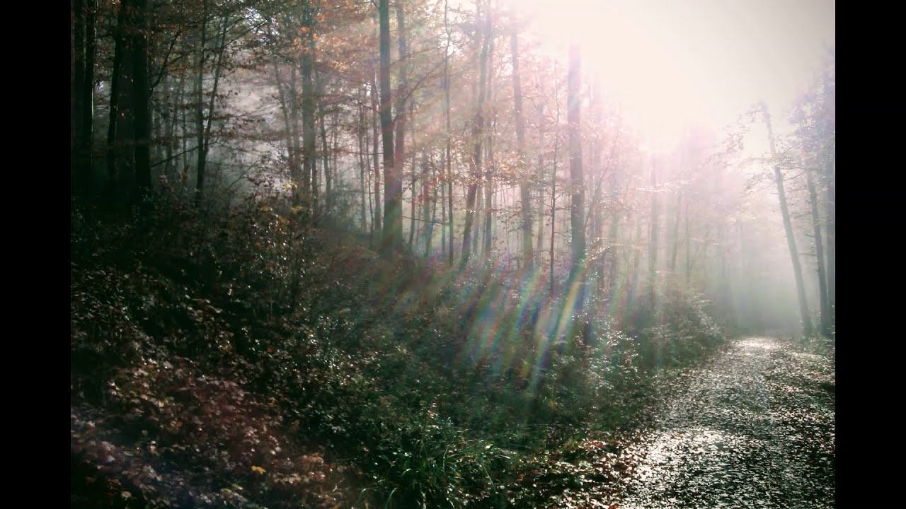 Arnold Bax - November Woods - YouTube