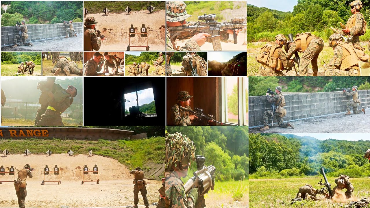 U.S. Marines Train HARD in Korea Viper 24.2 - INSANE Marksmanship ...