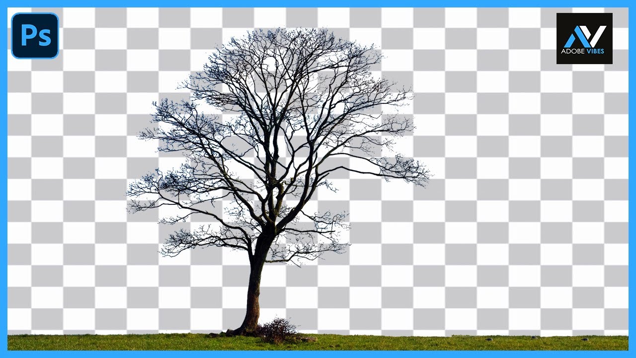 How to Cut Out a Tree in Photoshop 2024 || Remove TREE background ...