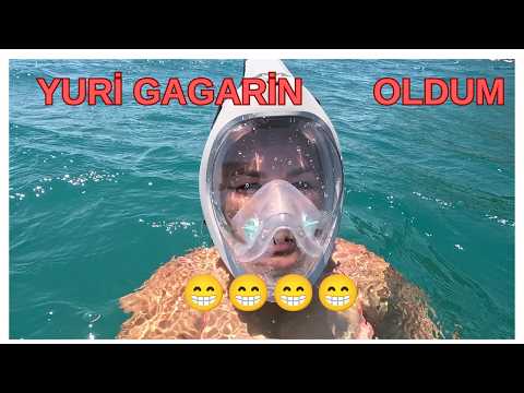 MUĞLA AKYAKA MERKEZİ HEMEN GEÇİNCE  YEMYEŞİL ÇAM AĞAÇLARININ İÇİNDE ÜCRETSİZ KOY VE ÇADIR ALANI