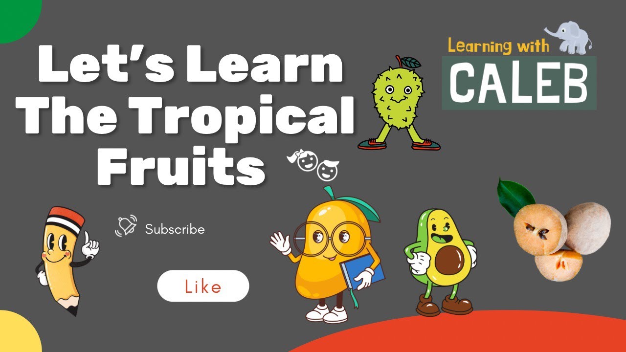 Learn The Tropical Fruits - Fruits Video - YouTube