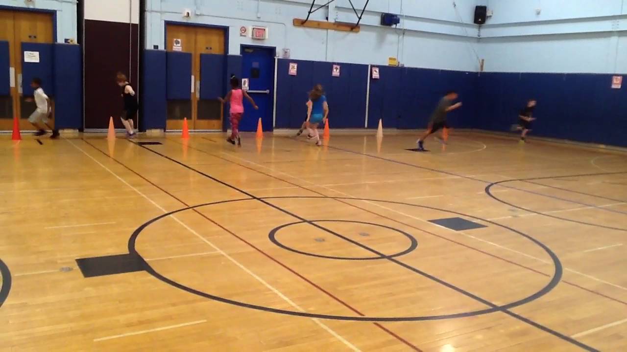 Animal Relay (Video 8) - YouTube