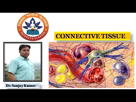 NCERT Animal Tissue (Connective tissue) Part 3 for Class 9 and Class 11 ...
