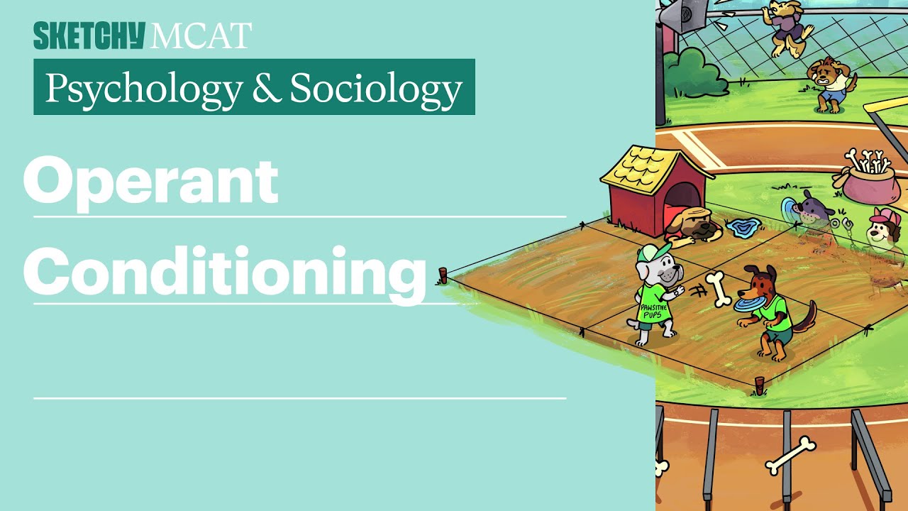 Operant Conditioning (Psychology/Sociology) | Sketchy MCAT - YouTube