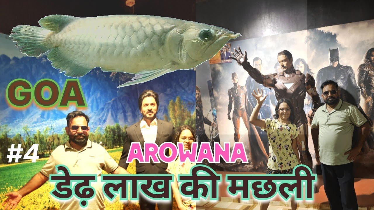 Goa wax museum || Goa fish aquarium || panji tourist places # ...