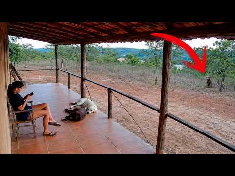5 Inexplicables e Impactantes Sucesos de Terror captados por cámaras