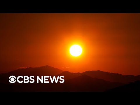 July 2023 declared hottest month on record