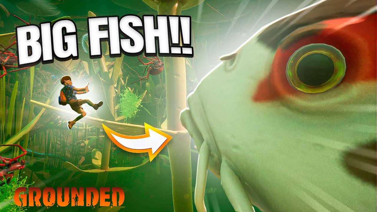 Grounded Funny Moments - That's a Big Fish - YouTube