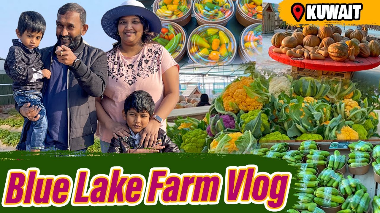 Blue Lake Farm Vlog🍇🍓 | A Trip To Albohayra Kuwait | Family Wings - YouTube
