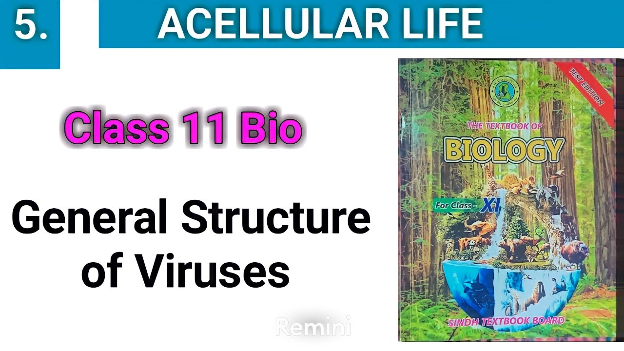 General Structure of Viruses || Acellular Life chapter 5 Class 11 - YouTube