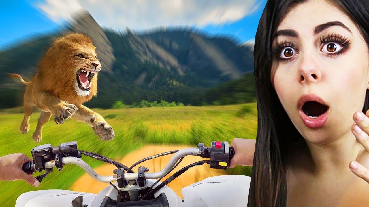 Unbelievable Close Calls with Wild Animals ! - YouTube