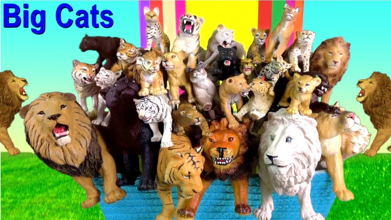 Big Cat Week - Happy Cute ZOO Animals Wild Animals LION TIGER LEOPARD ...