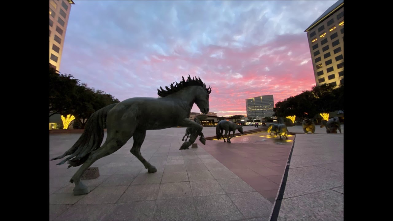 The Mustangs of Las Colinas - YouTube
