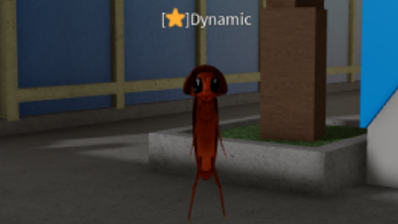 ⭐ Raiding as a ROACH with Star ⭐ - YouTube