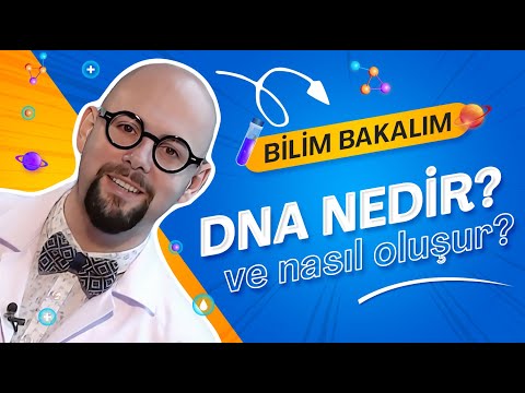 BİLİM BAKALIM - 6. Bölüm | DNA Nedir ve Nasıl Oluşur?