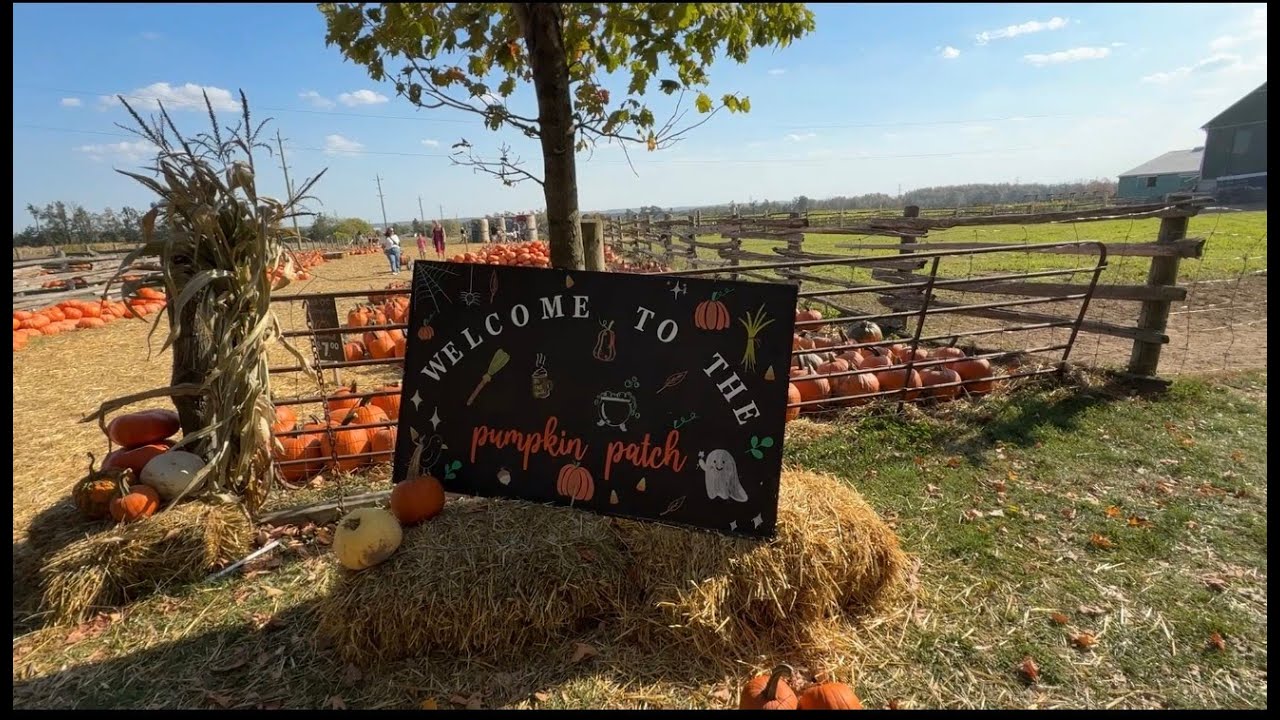Fall adventures at #Harris Farms — pumpkins, laughter & golden memories ...