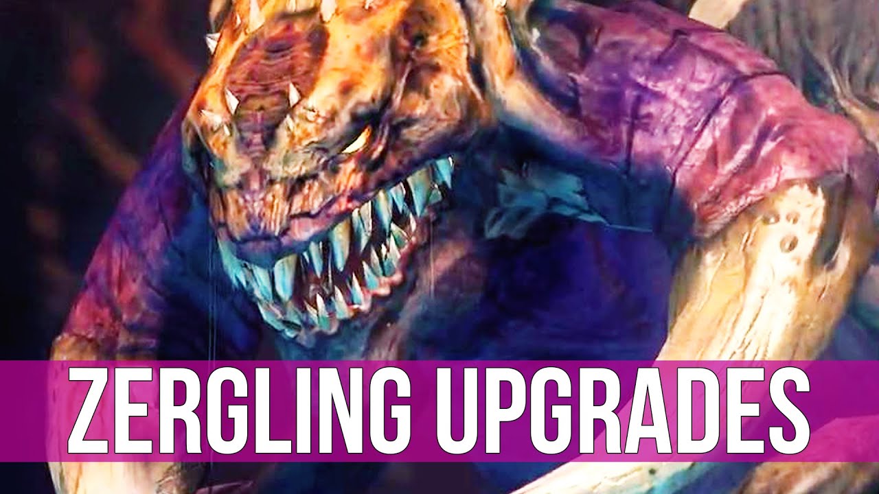 StarCraft 2: The Strength of Zergling Upgrades! - YouTube