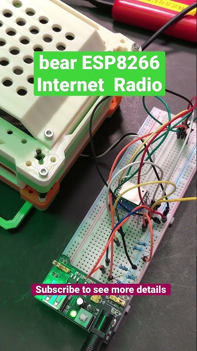 Bear ESP8266 Internet Radio with 3D printed Speaker(case) - YouTube