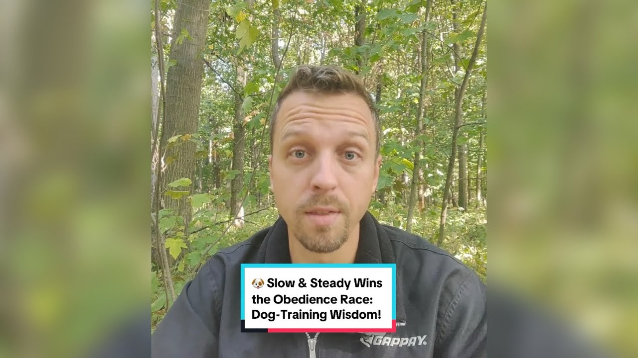 Slow & Steady wins the Obedience Race: Dog-Training Wisdom! - YouTube