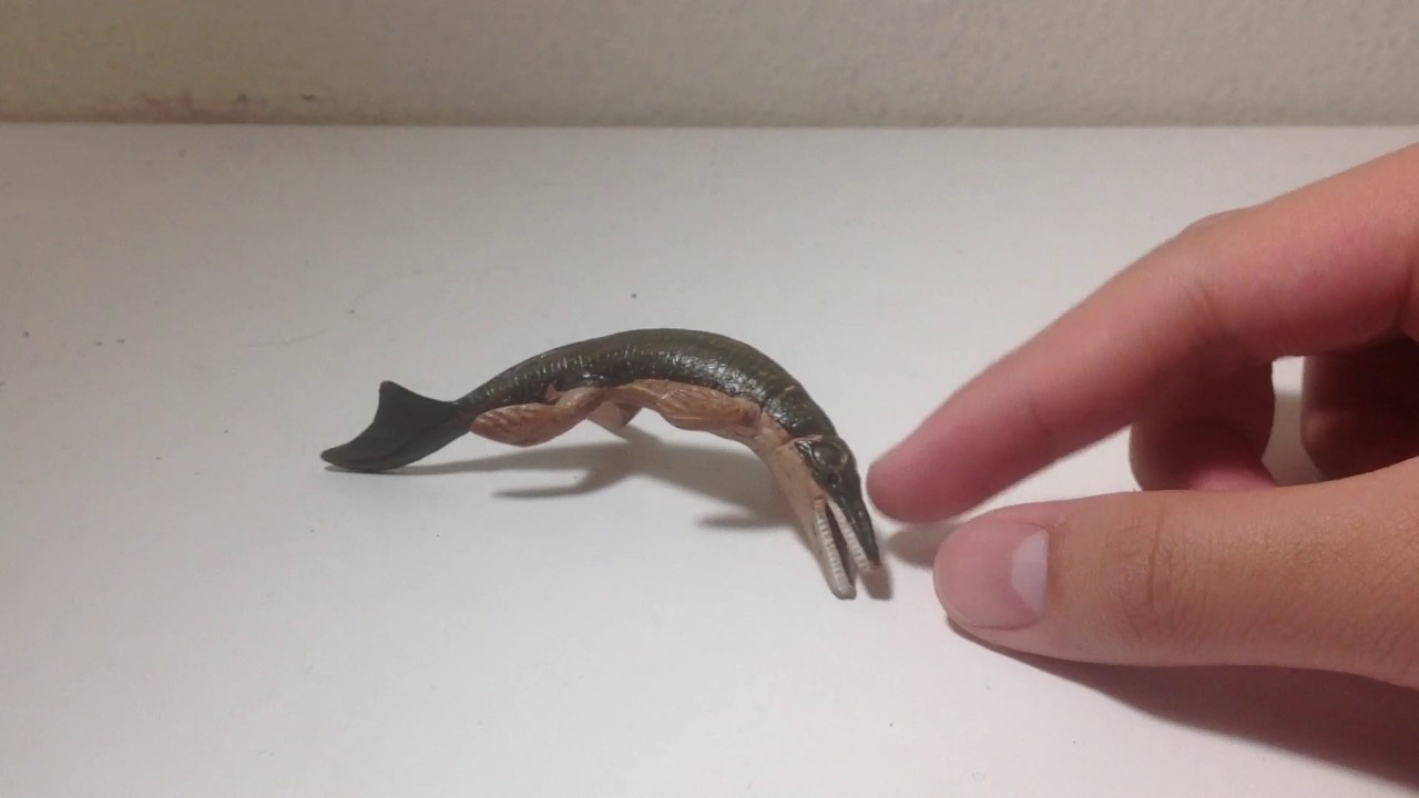 Safari Ltd Prehistoric Sealife Toob review (+13) - YouTube