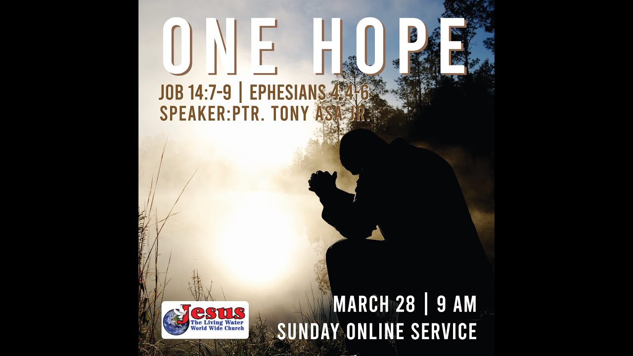 ONE HOPE - YouTube