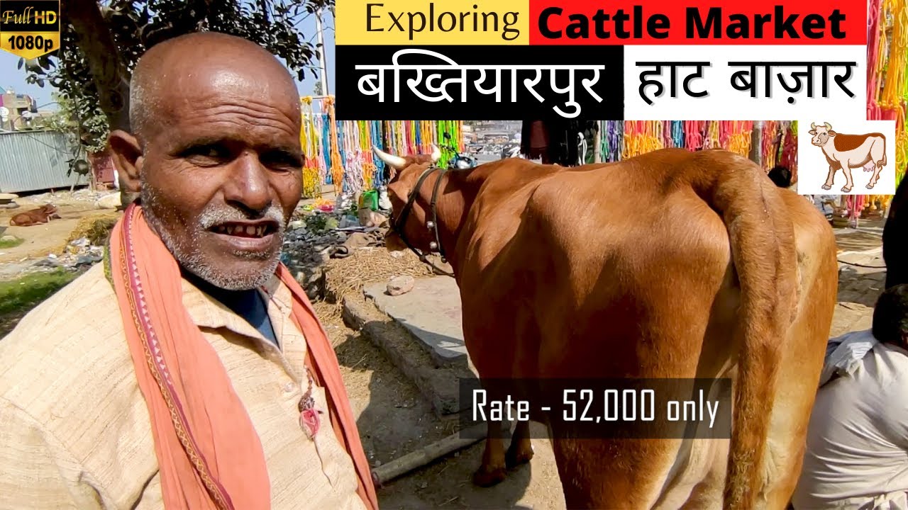 I Explored Local Cattle Market Of My Village | Haat Bazaar At ...
