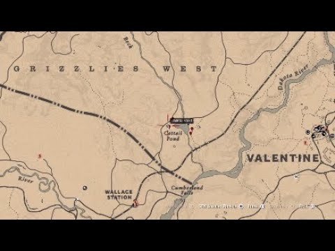 RDR2 Online - Cattail Pond Wild Mint for Daily Challenge - YouTube