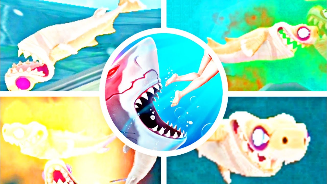 HUNGRY SHARK EVOLUTION - ALL FIN FINN N FINNY ANIMATIONS - YouTube