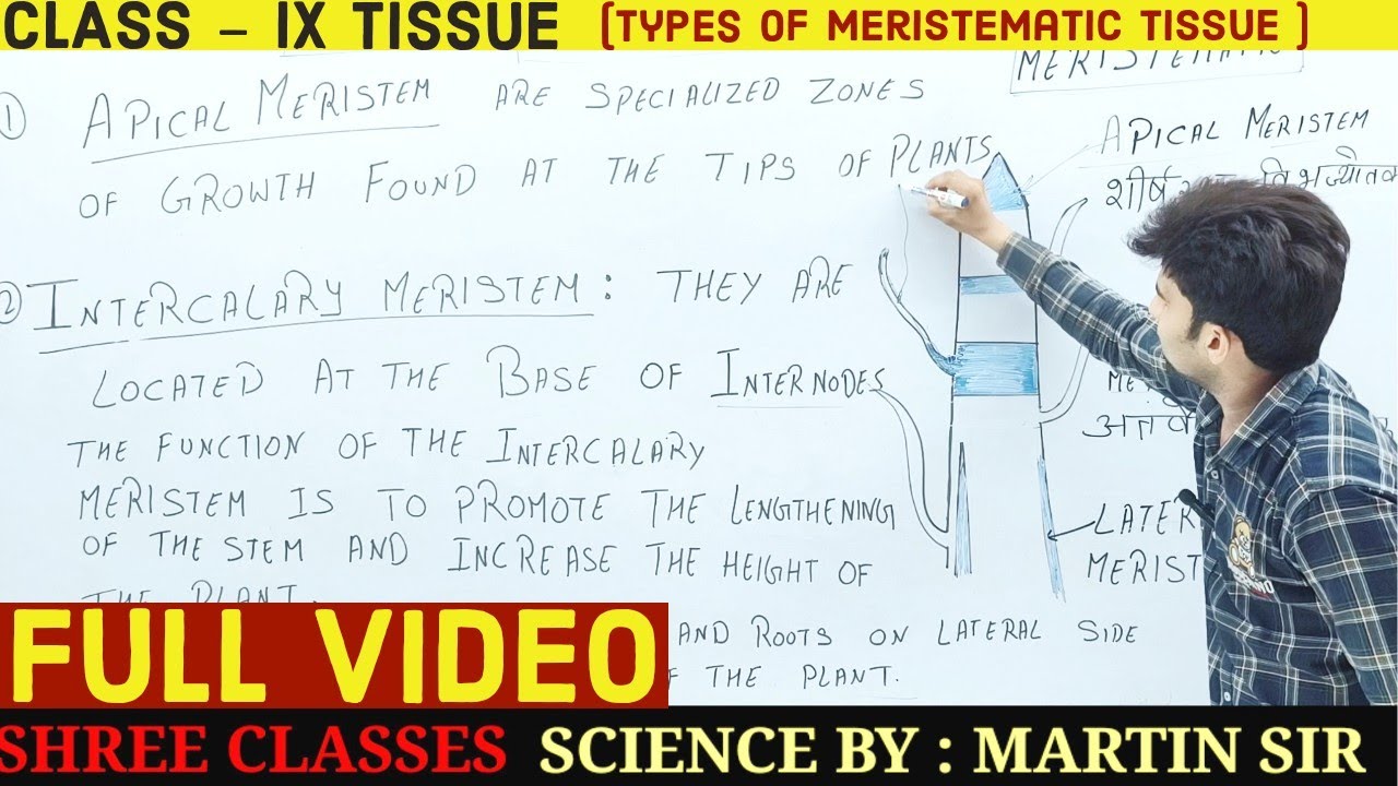 types of meristematic tissue in hindi ENGLISH || SHREE CLASSES || martin sir - YouTube
