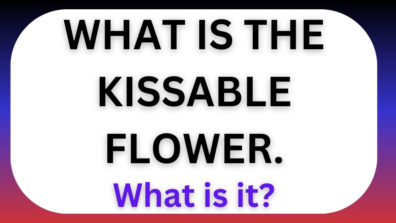 Only a Genius Can Answer These Riddles? logic and language lounge Riddles Quiz#55 - YouTube