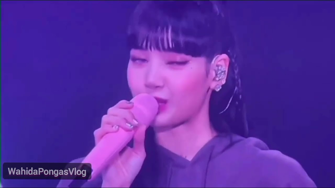 (Blackpink) Lisa Talk and cried Seoul Concert (BORNPINK) D1 - YouTube