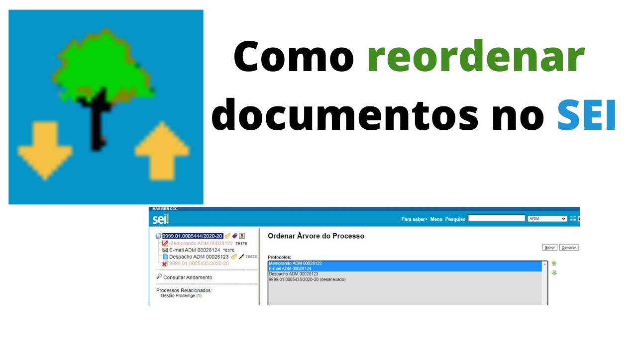 Como alterar a ordem dos Documentos em um processo no SEI - YouTube