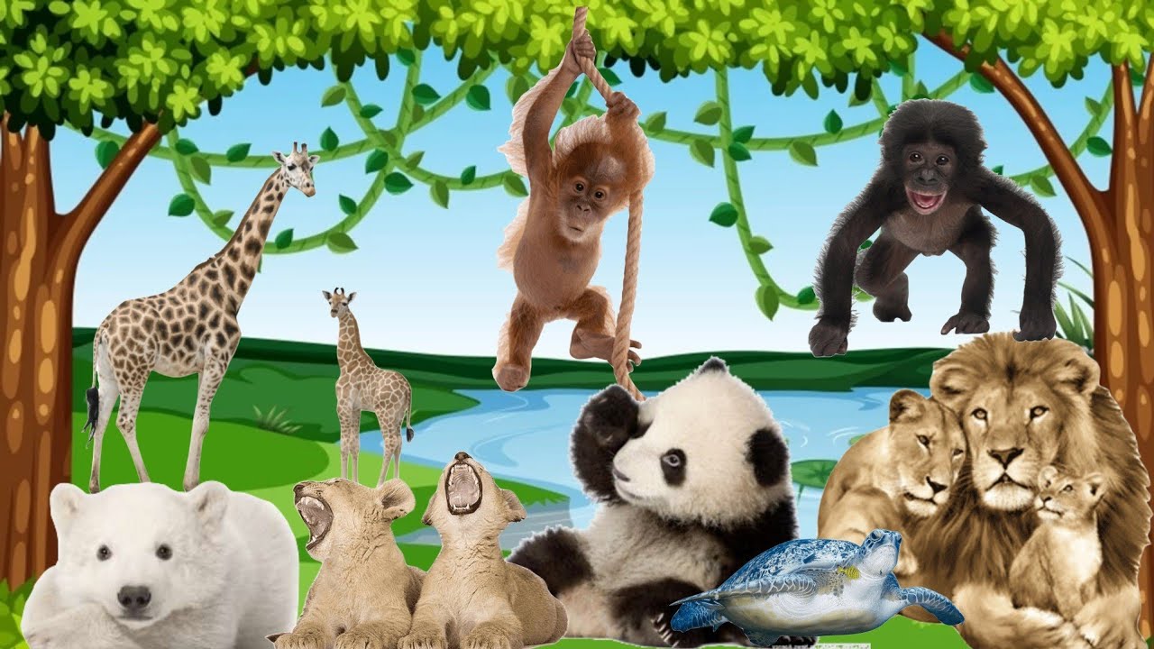 Wild animals make a wide range of noises: polar bears, turtles, lions ...