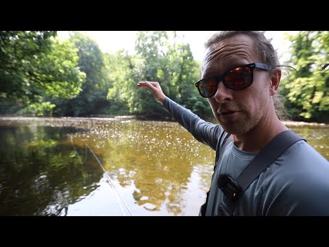 So lernen Sie den einhändigen Single Spey Cast