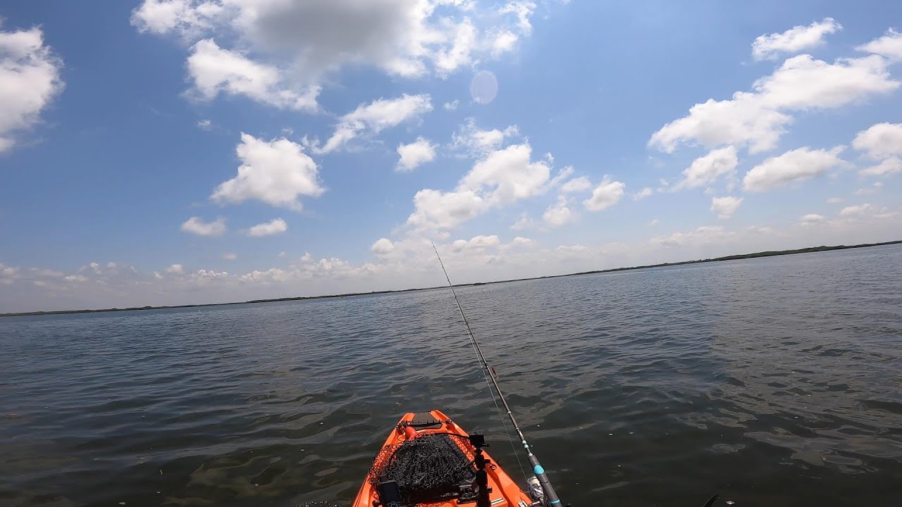 Crystal River Kayaking Fishing the Nature Coast in Ozello Florida - YouTube