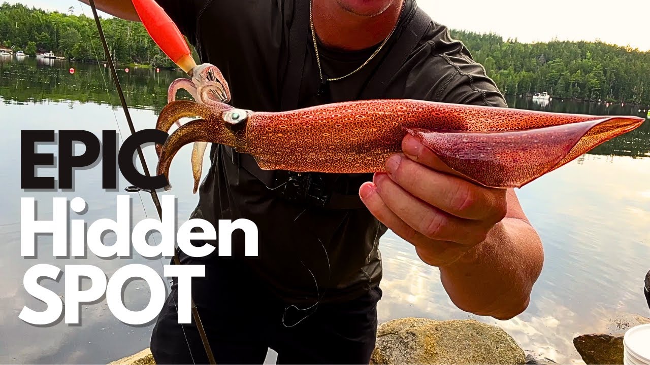 The Surprising Power of this SQUID JIG: First-Time Success Guaranteed ...