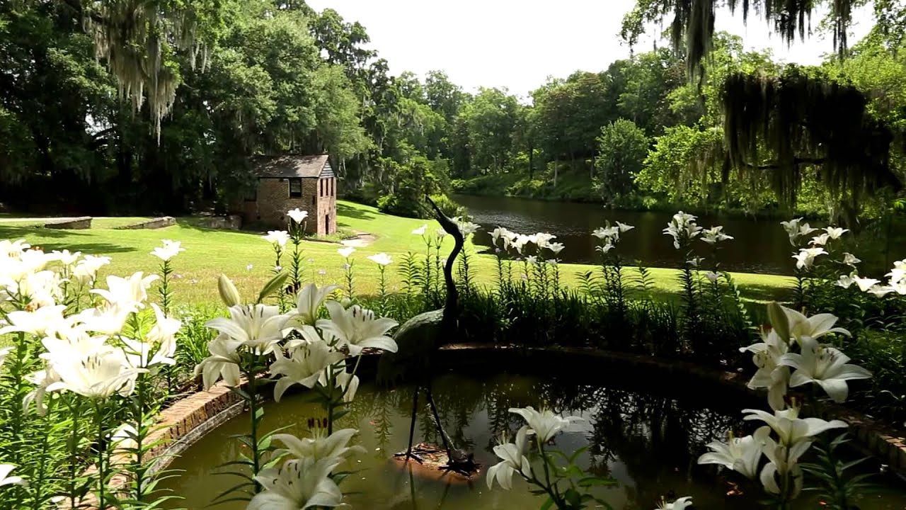 South Carolina Plantation Tour-Middleton Place-Live Oaks - YouTube