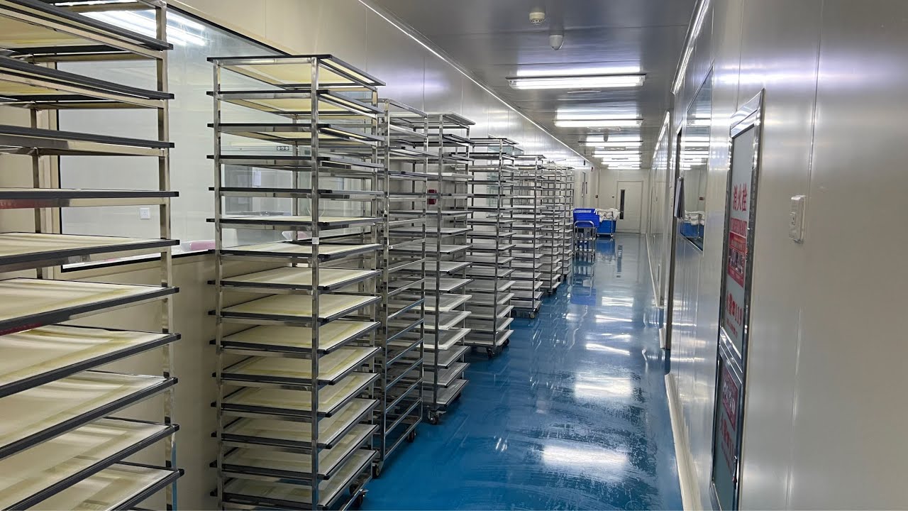 1.Workshop Display of 100,000 Level Clean Area / NewScen Factory Tour ...