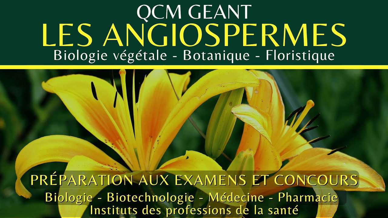 QCM Les Angiospermes : Biologie végétale - Floristique ...