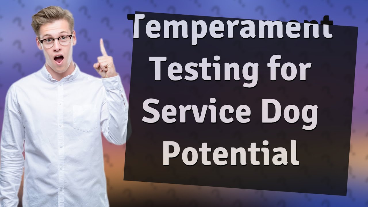 How Can I Effectively Temperament Test My Puppy for Service Dog ...