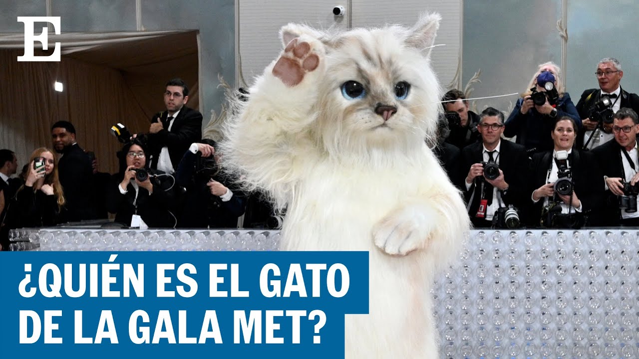 Jared Leto se disfraza del gato de Karl Lagerfeld en la GALA MET 2023 ...