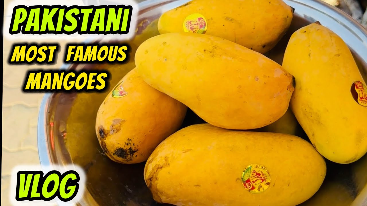 Most Famous Pakistani Mangoes In The World | Different Types Of Mangoes ...