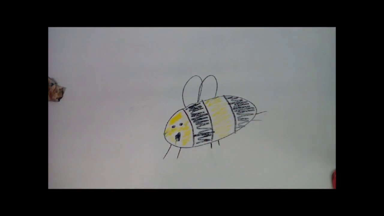 How do Bee's protect themselves? - YouTube