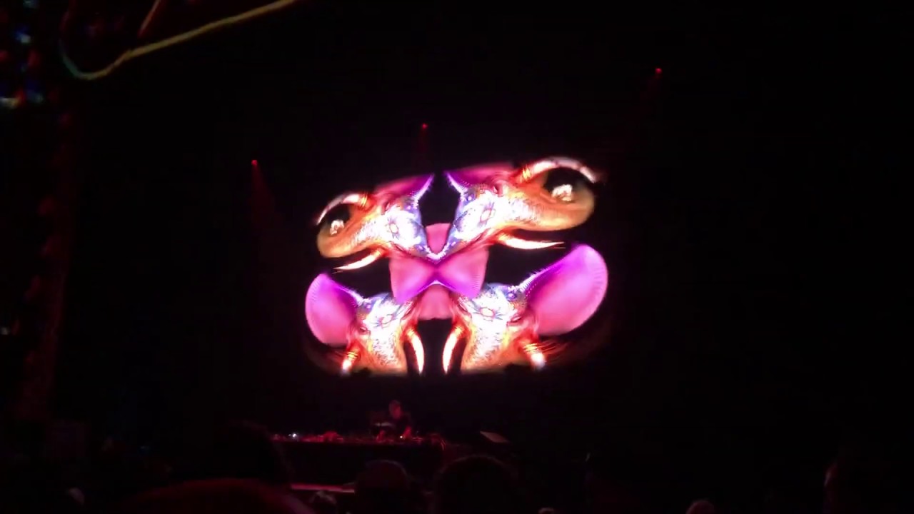 Dave Tipper, Tipsgiving 2018 - Bindmender remix into Unreleased - YouTube
