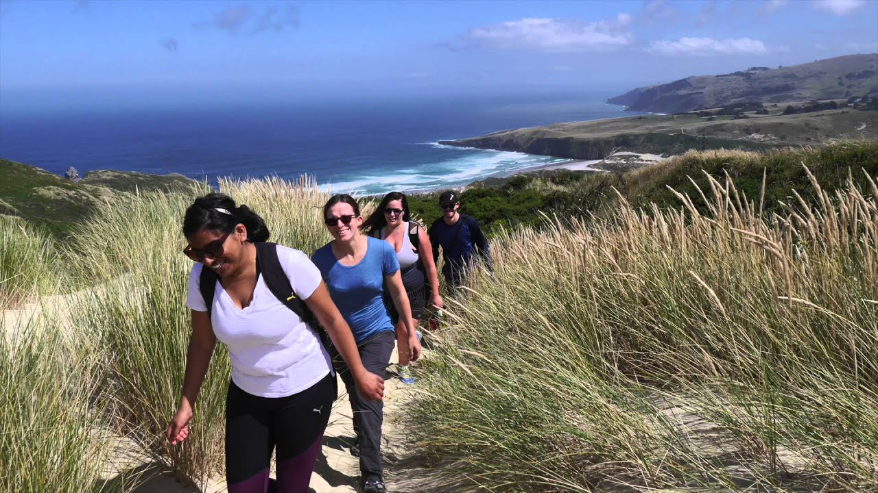 Sandfly Beach - YouTube