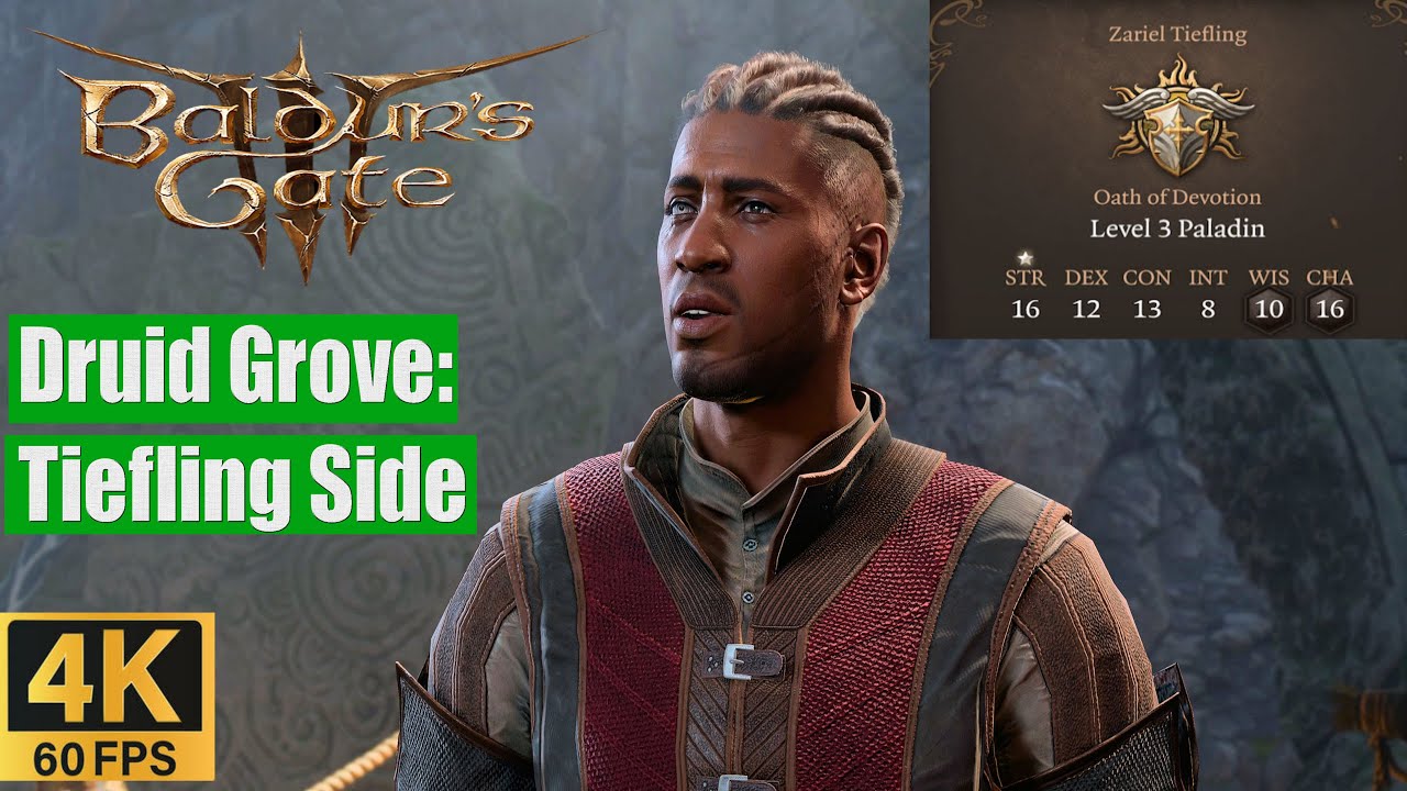 Baldur's Gate 3 Walkthrough Druid Grove Tiefling Side - YouTube