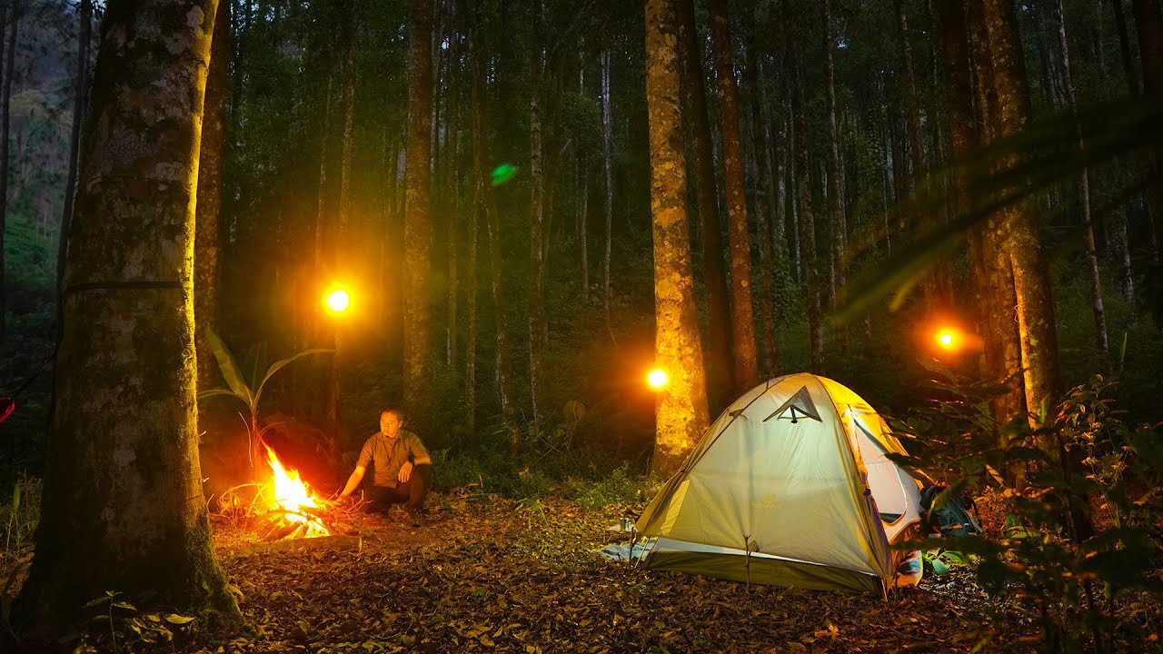 Camping Bersantai Menikmati Suasana Hutan Dengan Api Unggun - YouTube