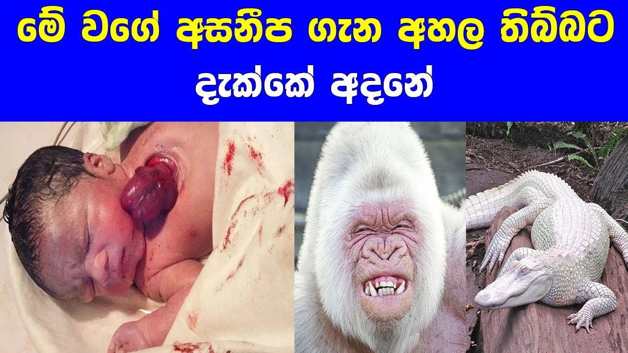 5 Features Only The Most Rare People Are Born With - YouTube