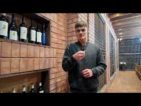 Moldova | Chateau Vartely Tour (Part I) | Golden Connections International